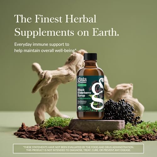 immune support elderberry supplement