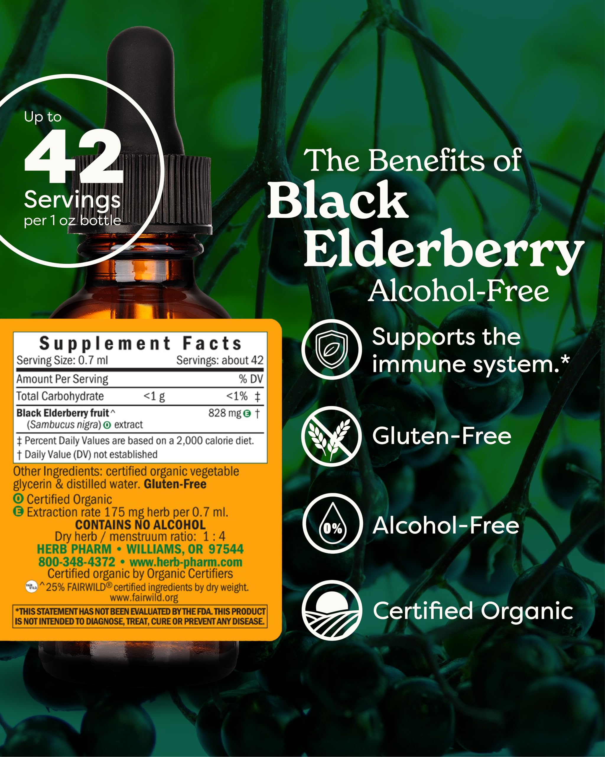 immune support elderberry supplement