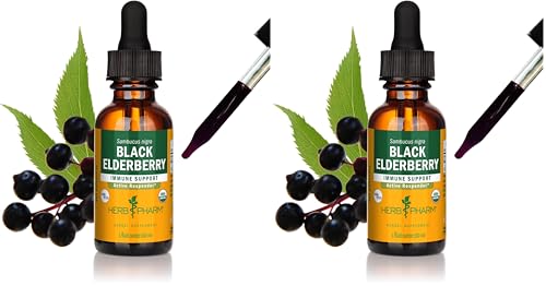 immune support elderberry supplement