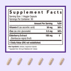 immune support elderberry supplement