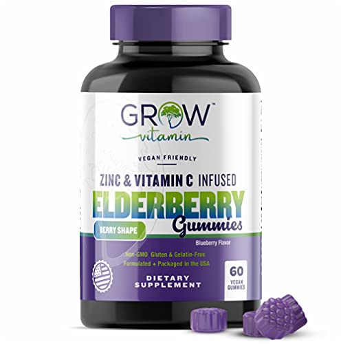 immune support elderberry supplements