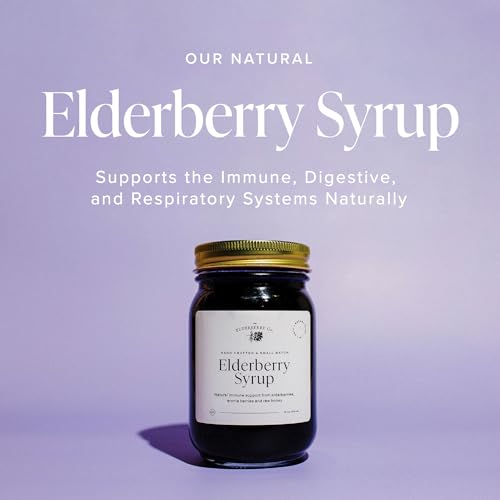 immune support elderberry syrup benefits