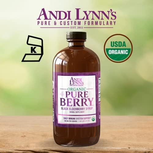 immune support elderberry syrup pack of 2