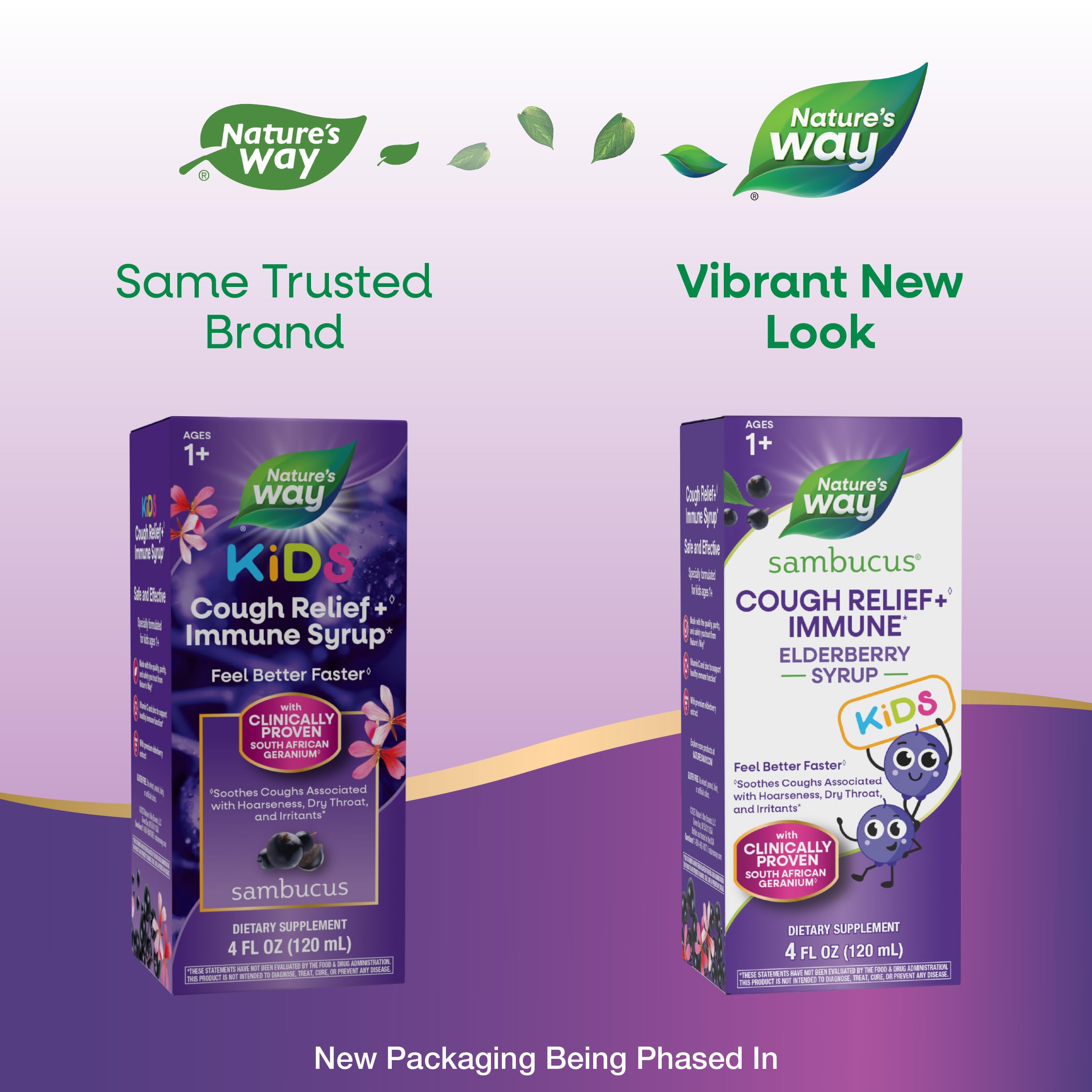 immune support elderberry syrup