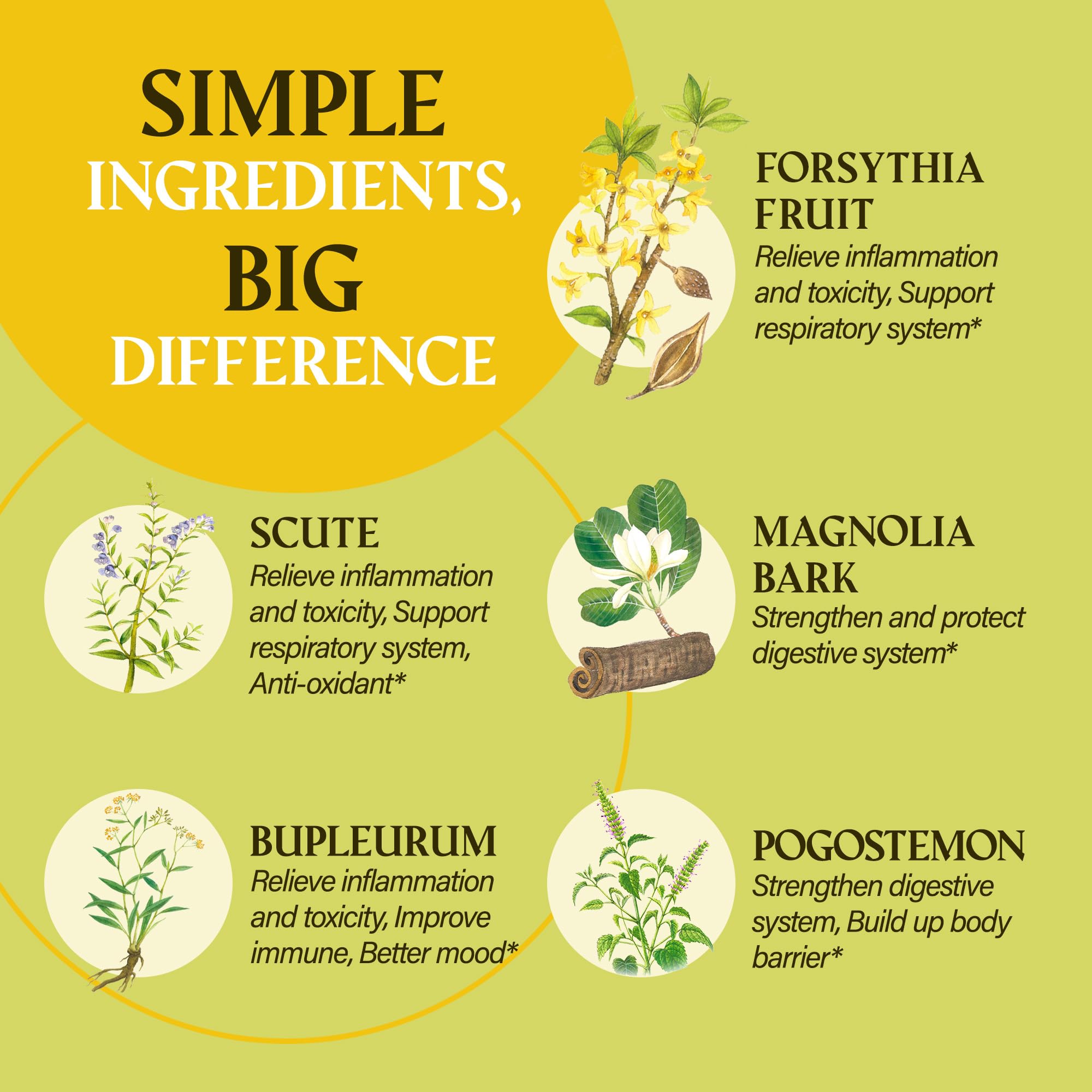 immune support for active lifestyles