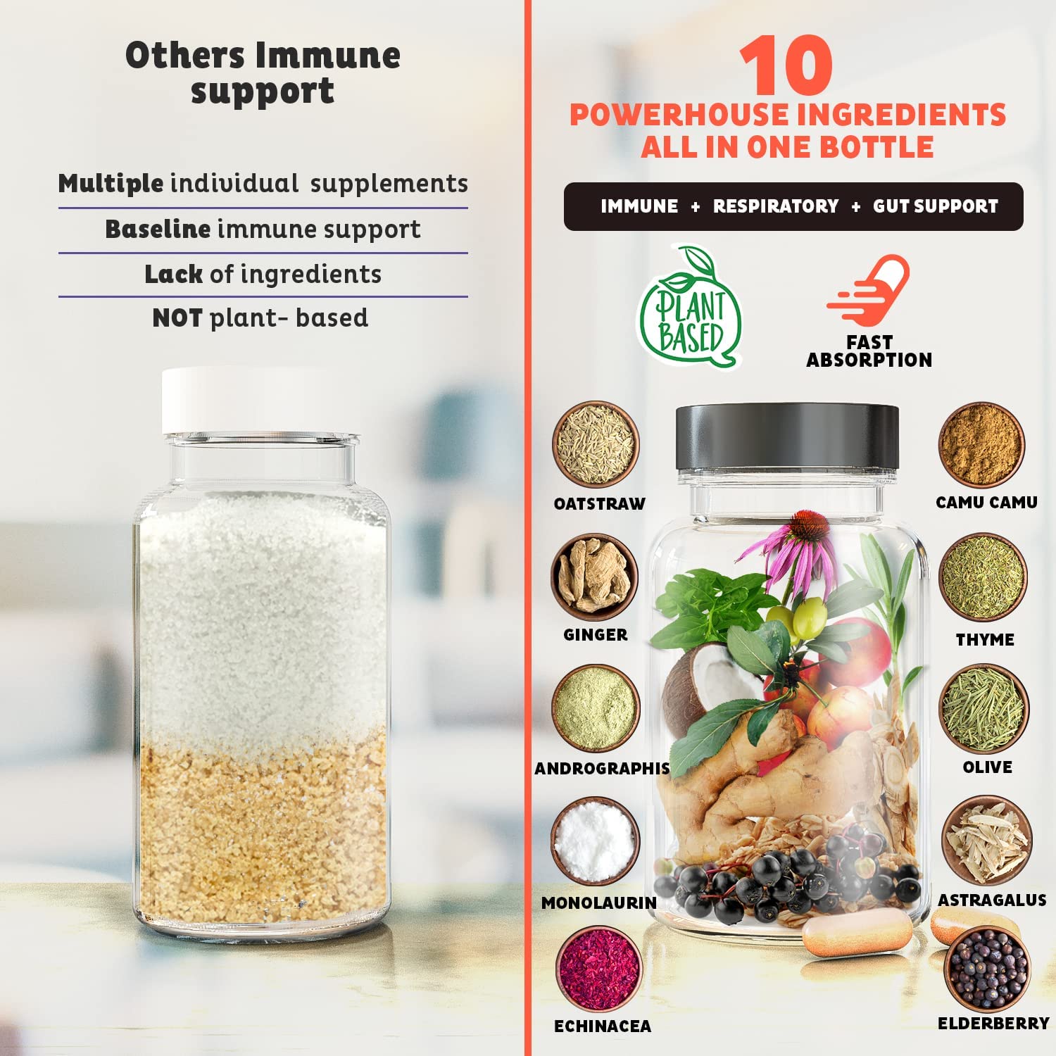 immune support for cold season