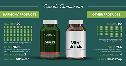 immune support for everyday health