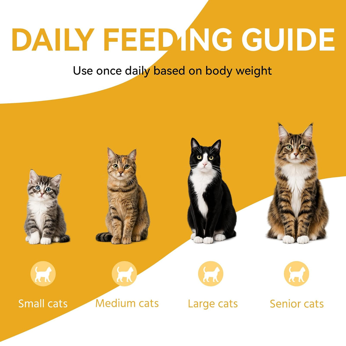 Immune support for feline friends