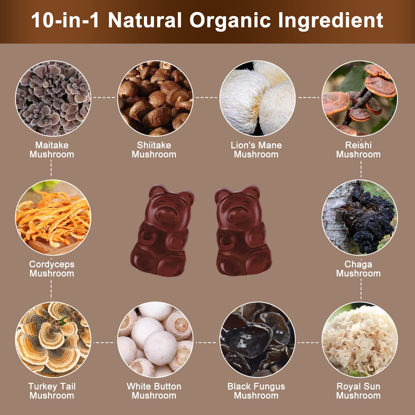 immune support from ACEYO mushroom gummies