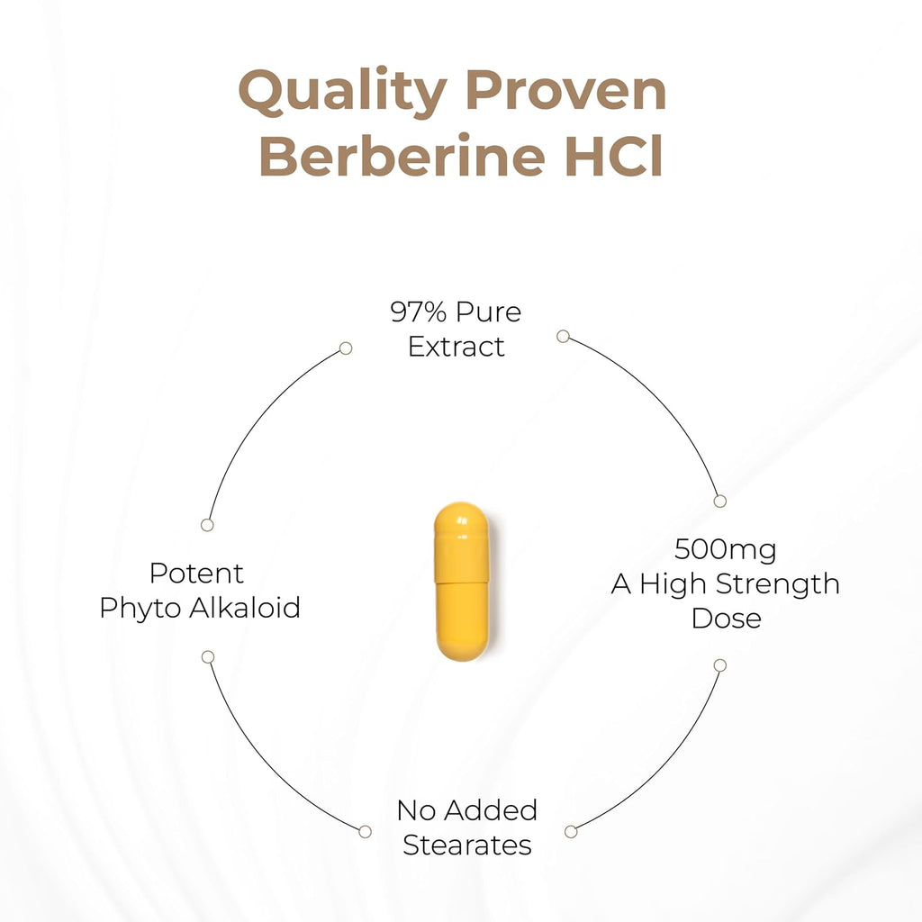 immune support from berberine capsules
