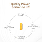 immune support from berberine capsules