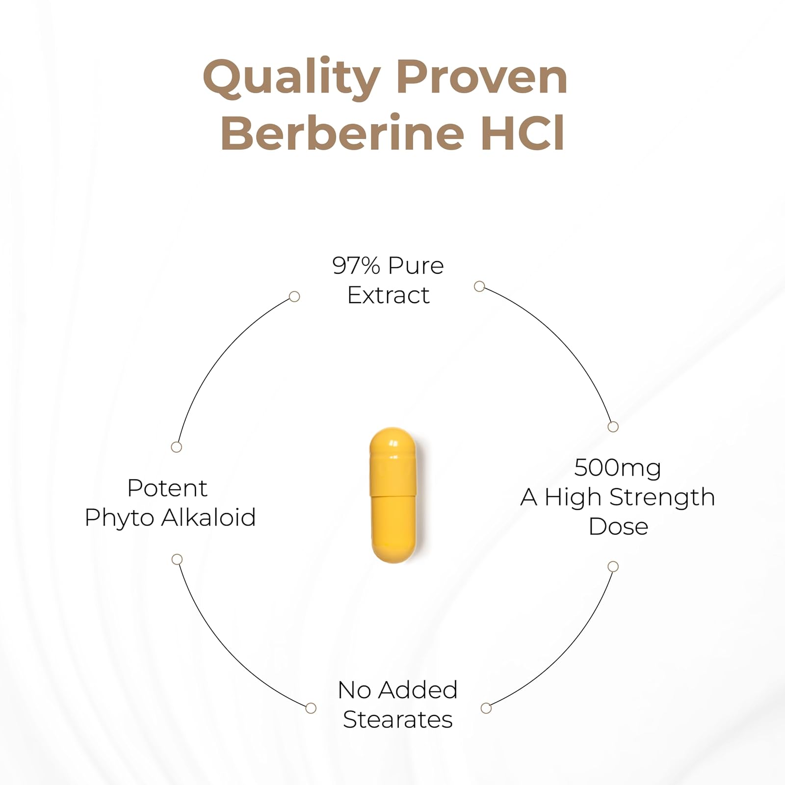 immune support from berberine capsules