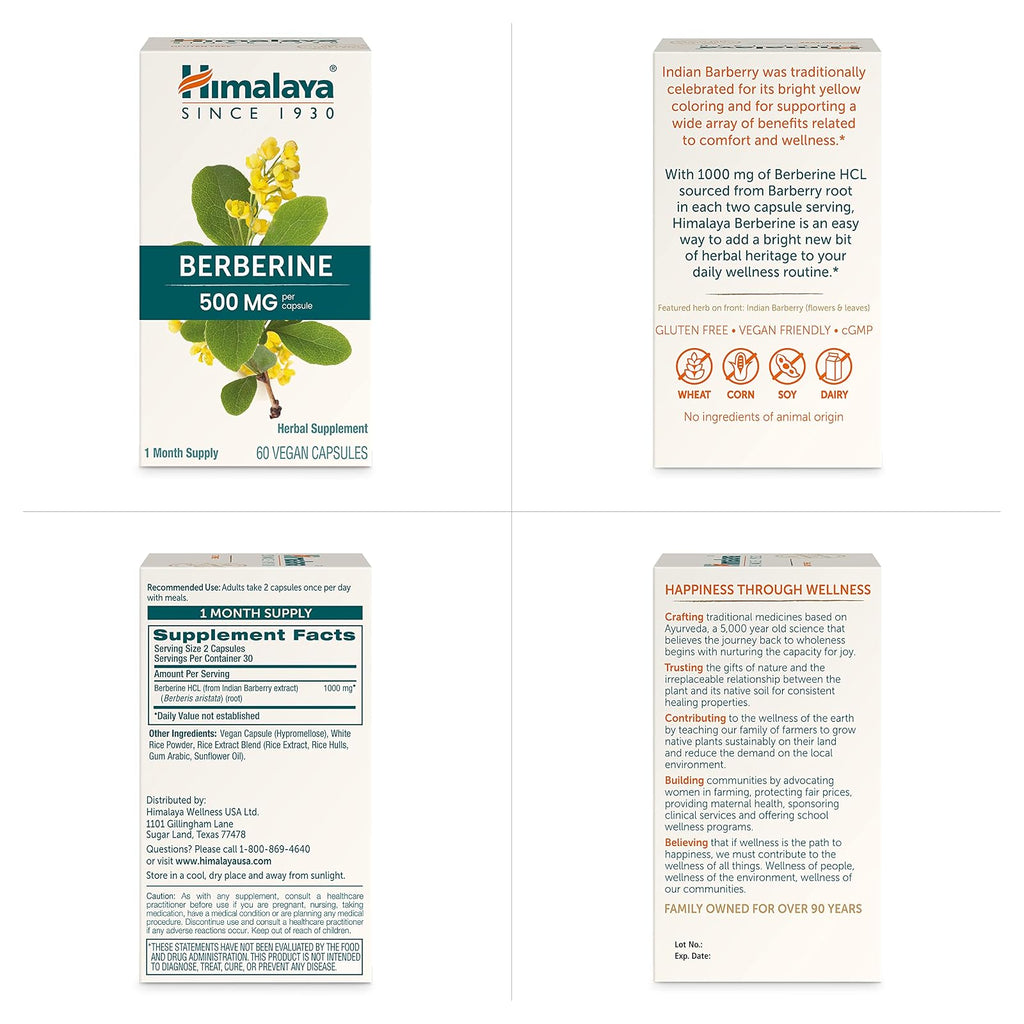 immune support from berberine supplement