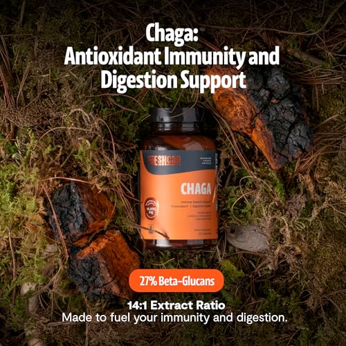 immune support from chaga mushrooms