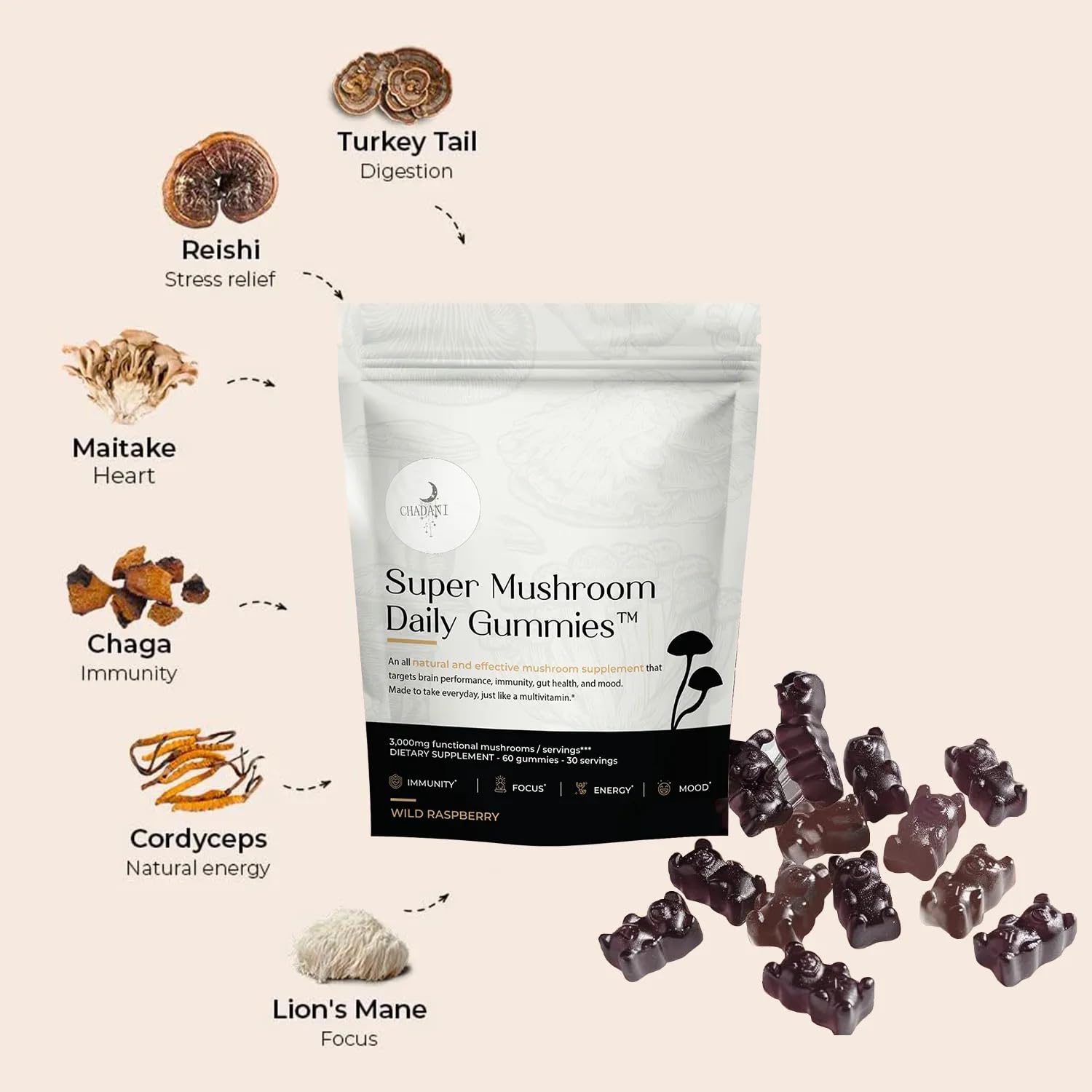 immune support from chaga mushrooms