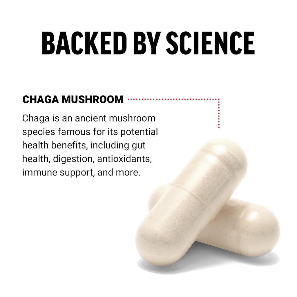 immune support from Chaga mushrooms