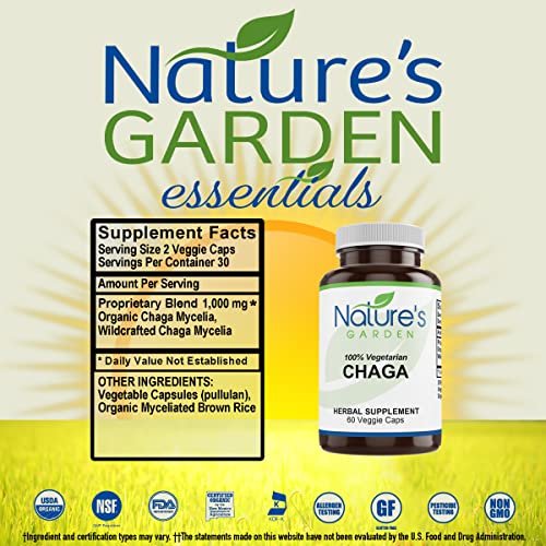 immune support from Chaga mushrooms