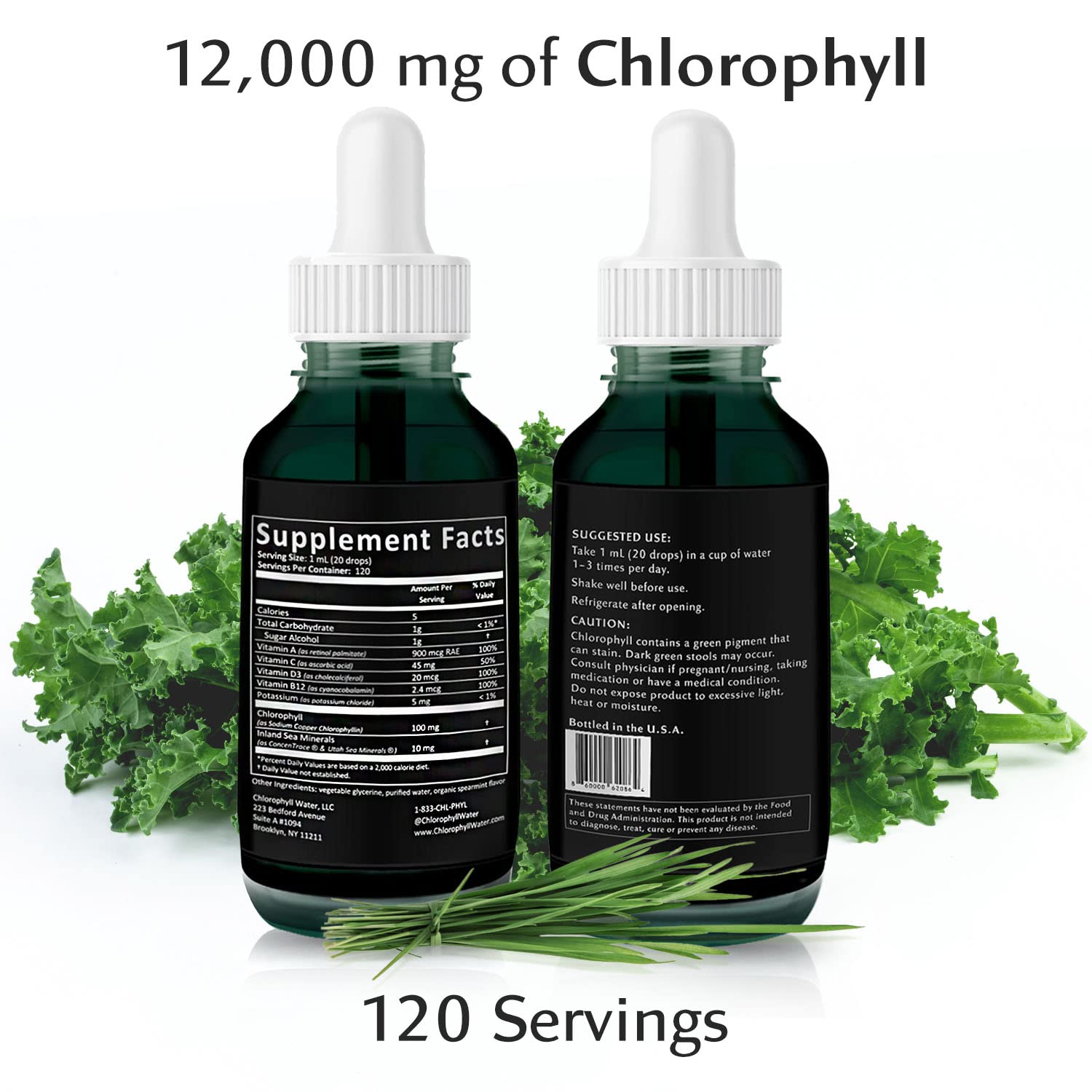 immune support from chlorophyll liquid
