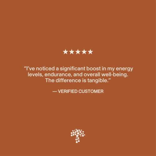 immune support from cordyceps capsules