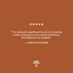 immune support from cordyceps capsules