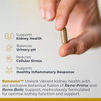 immune support from cordyceps mushrooms