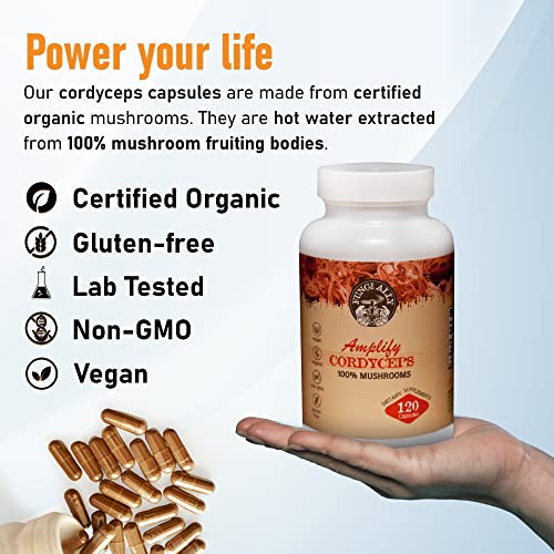 immune support from cordyceps mushrooms