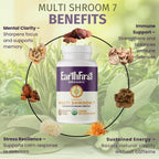 immune support from mushroom blend