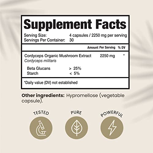 Immune support from mushroom supplements