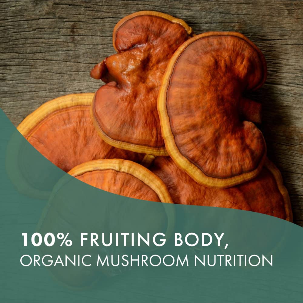 Immune support from MyPure Reishi