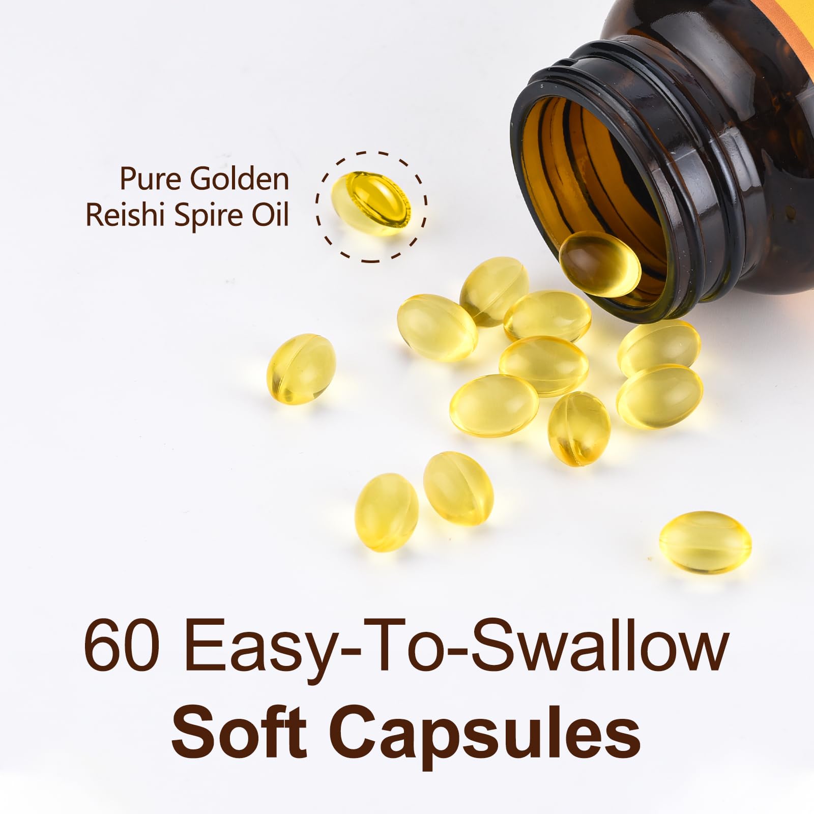 Immune support from Reishi capsules