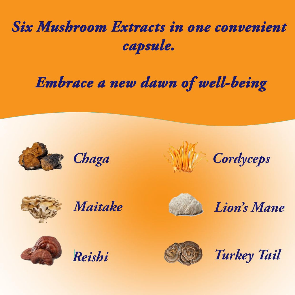 immune support from Reishi mushrooms
