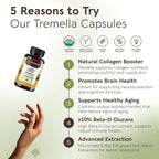 Immune support from Tremella mushroom capsules