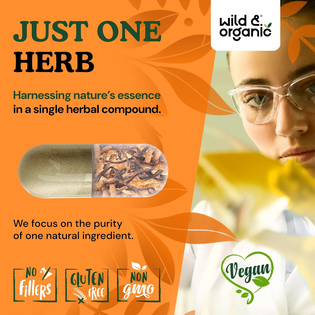 immune support from wild cordyceps
