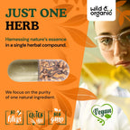 immune support from wild cordyceps