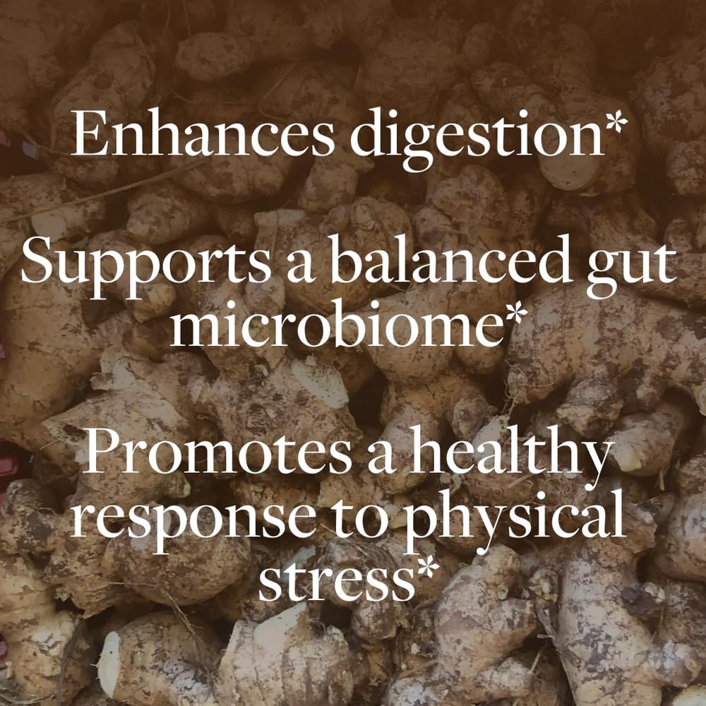 immune support ginger dietary capsules