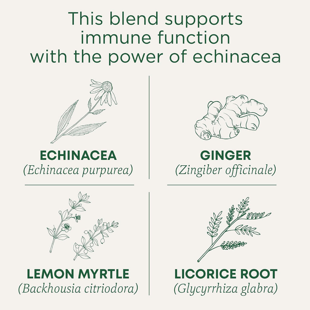 immune support ginger tea bags