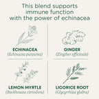 immune support ginger tea bags