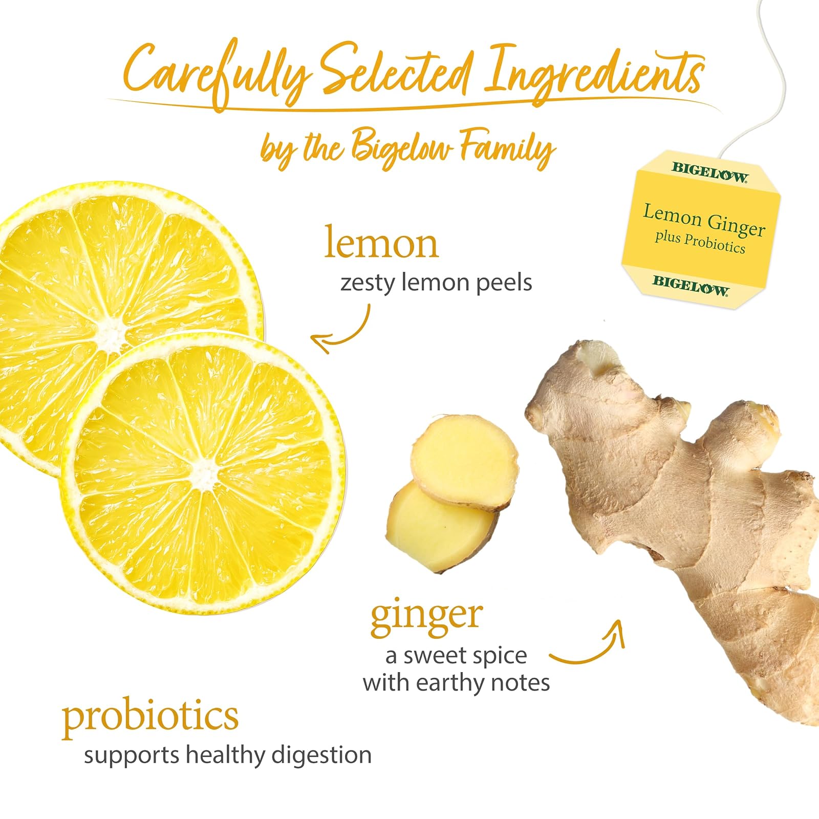 immune support ginger tea blend