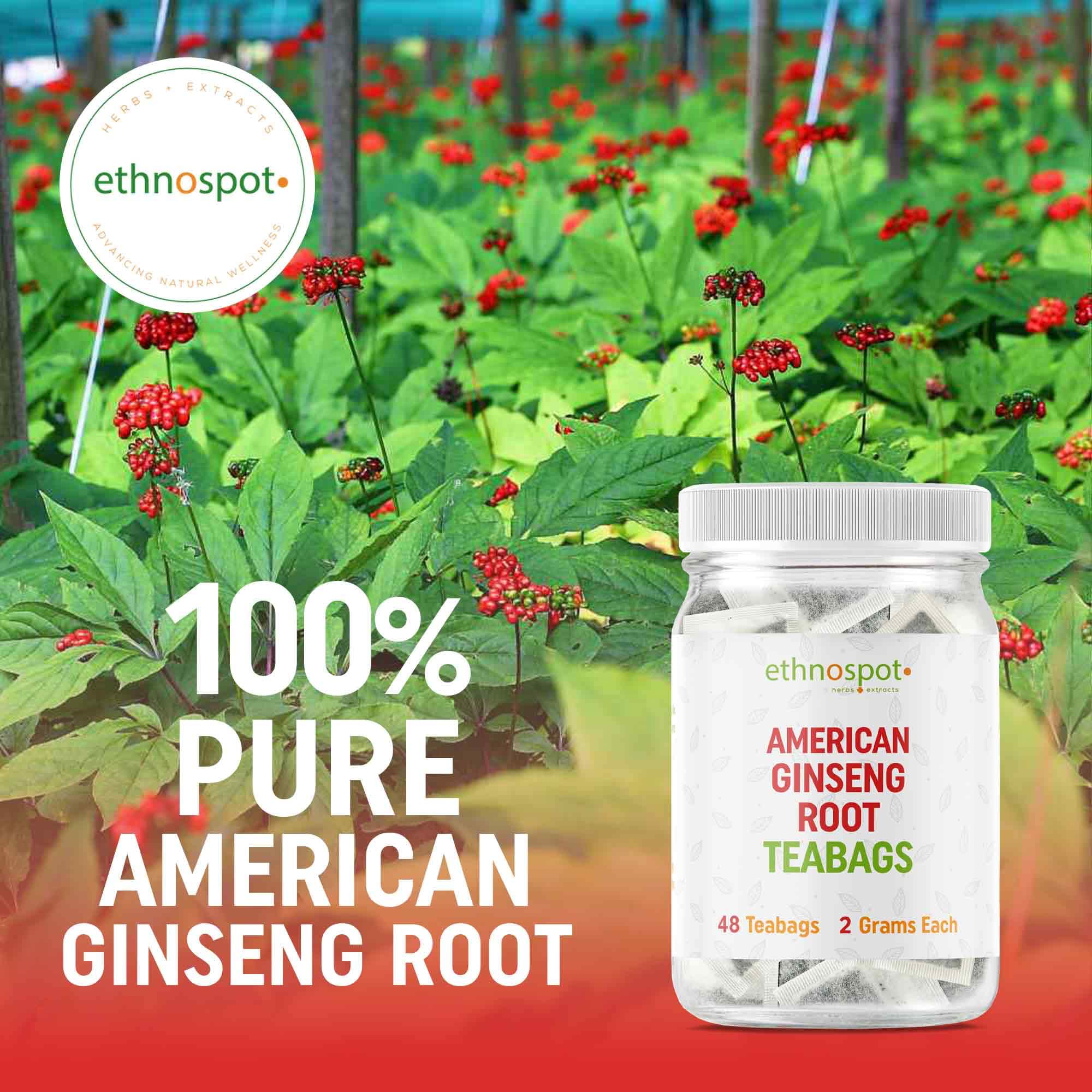 immune support ginseng tea bags