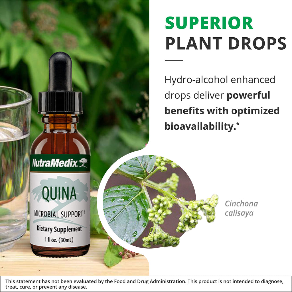 immune support herbal supplement liquid