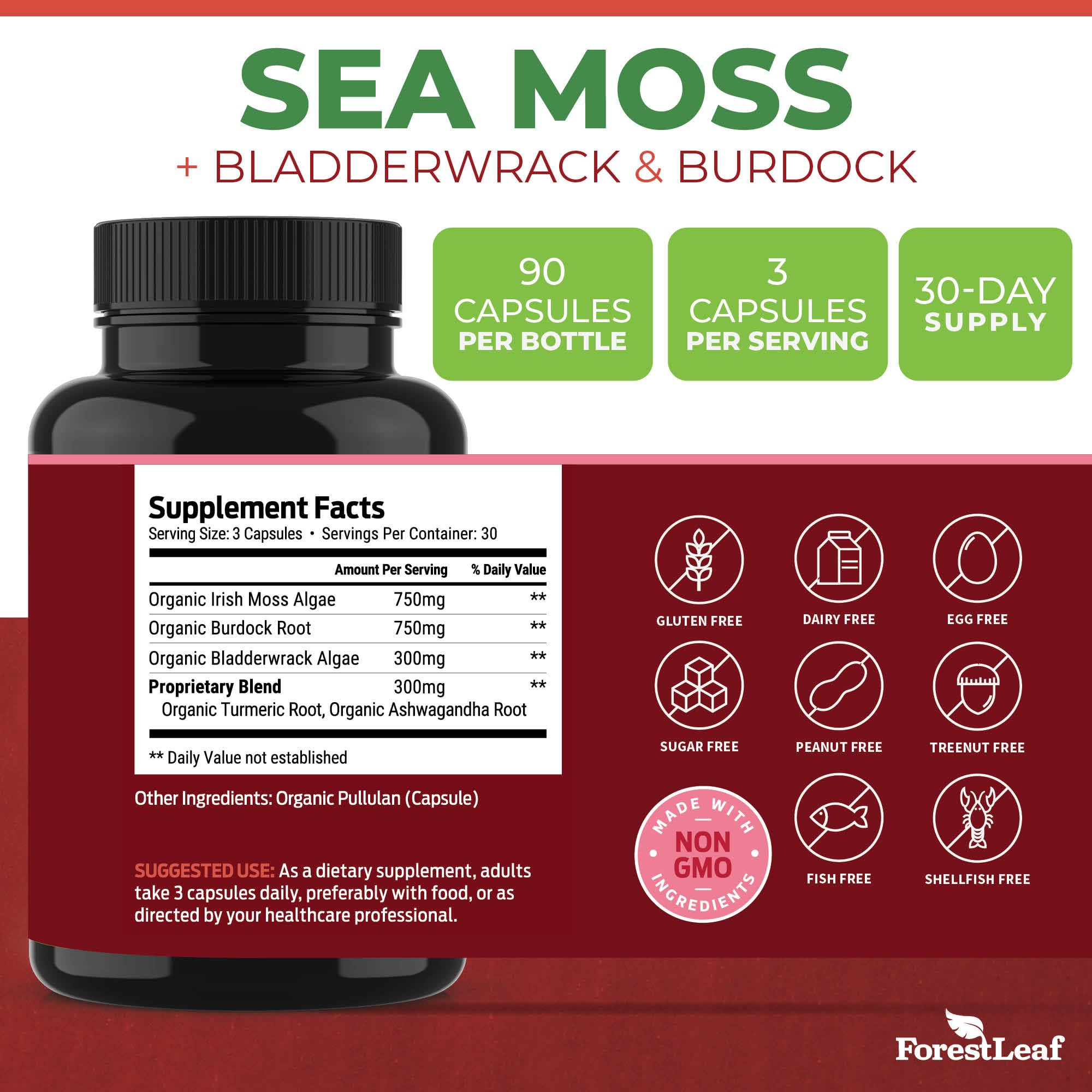 immune support herbal supplements