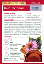 immune support herbal tea blend