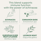 immune support herbal tea blend