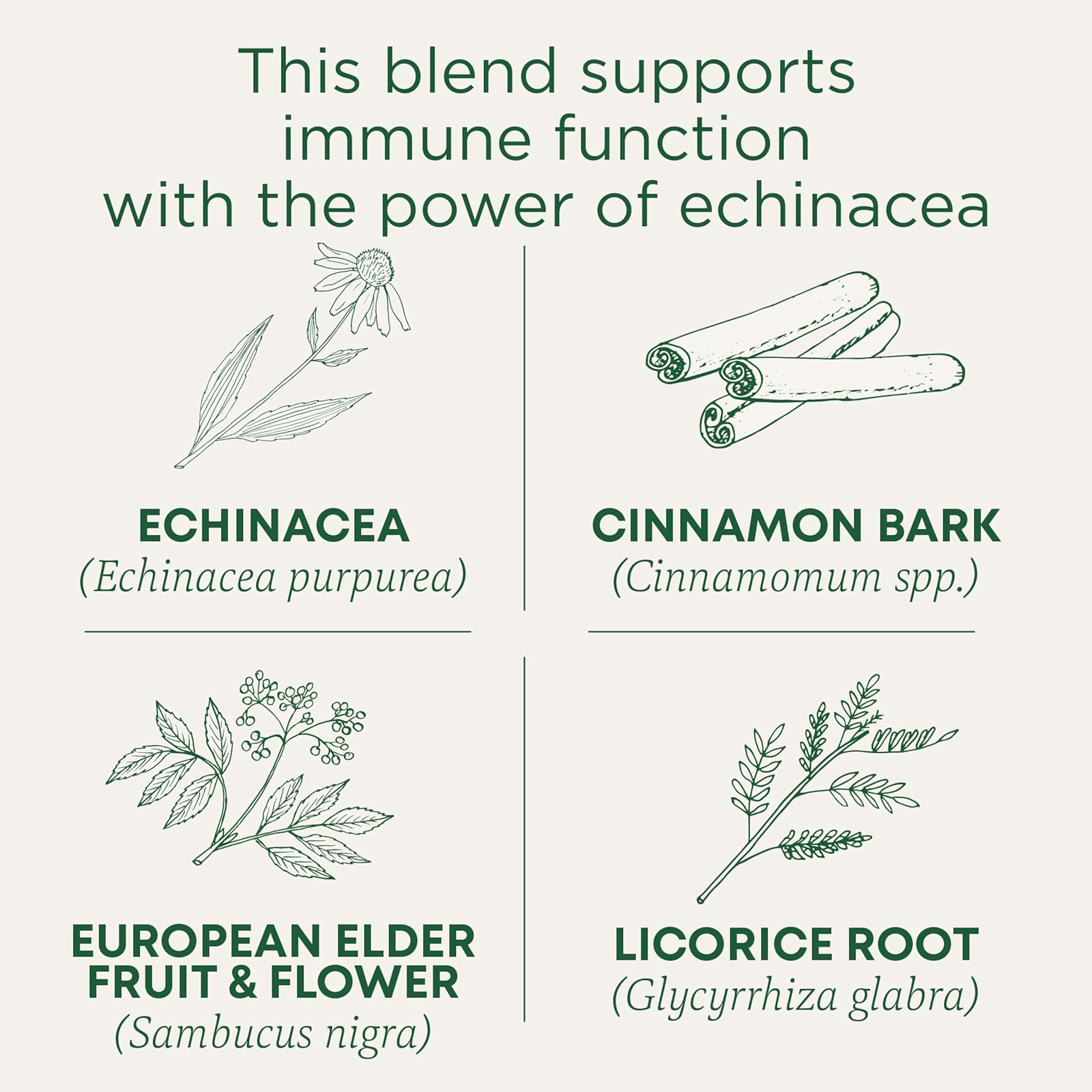 immune support herbal tea blend