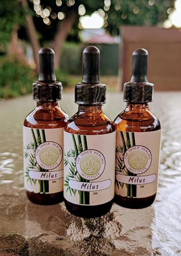 immune support herbal tincture benefits