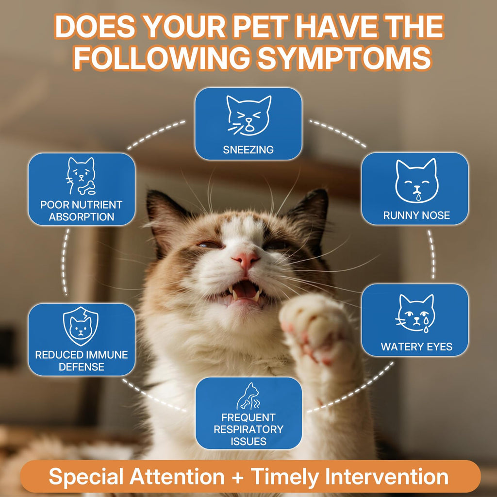 immune support l-lysine for cats