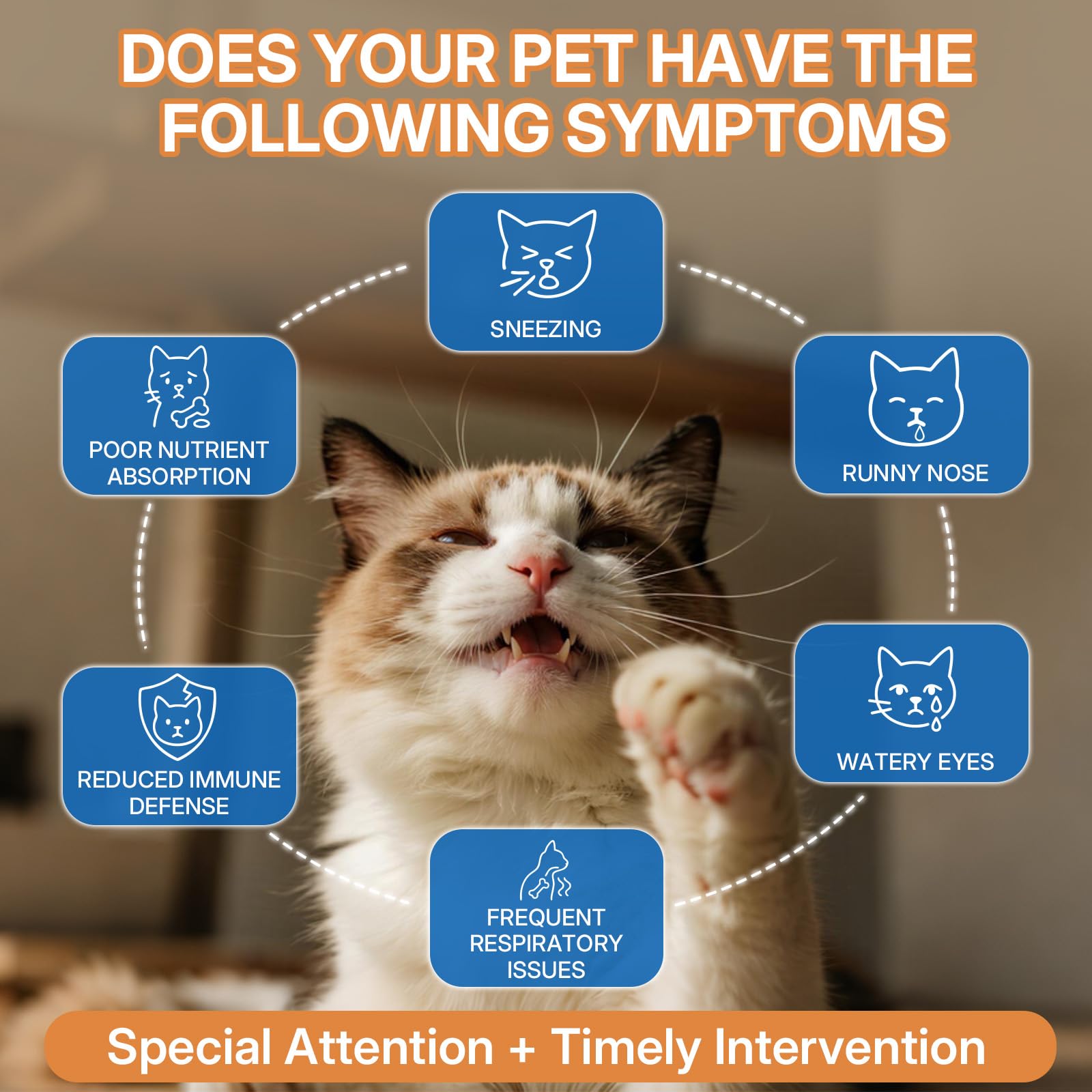 immune support l-lysine for cats