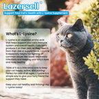 immune support l-lysine for pets