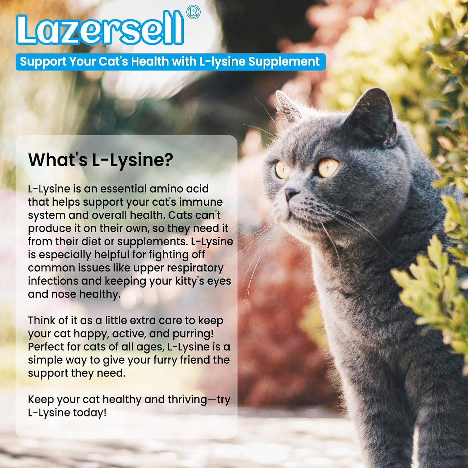 immune support l-lysine for pets
