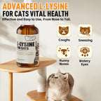 immune support l-lysine supplement